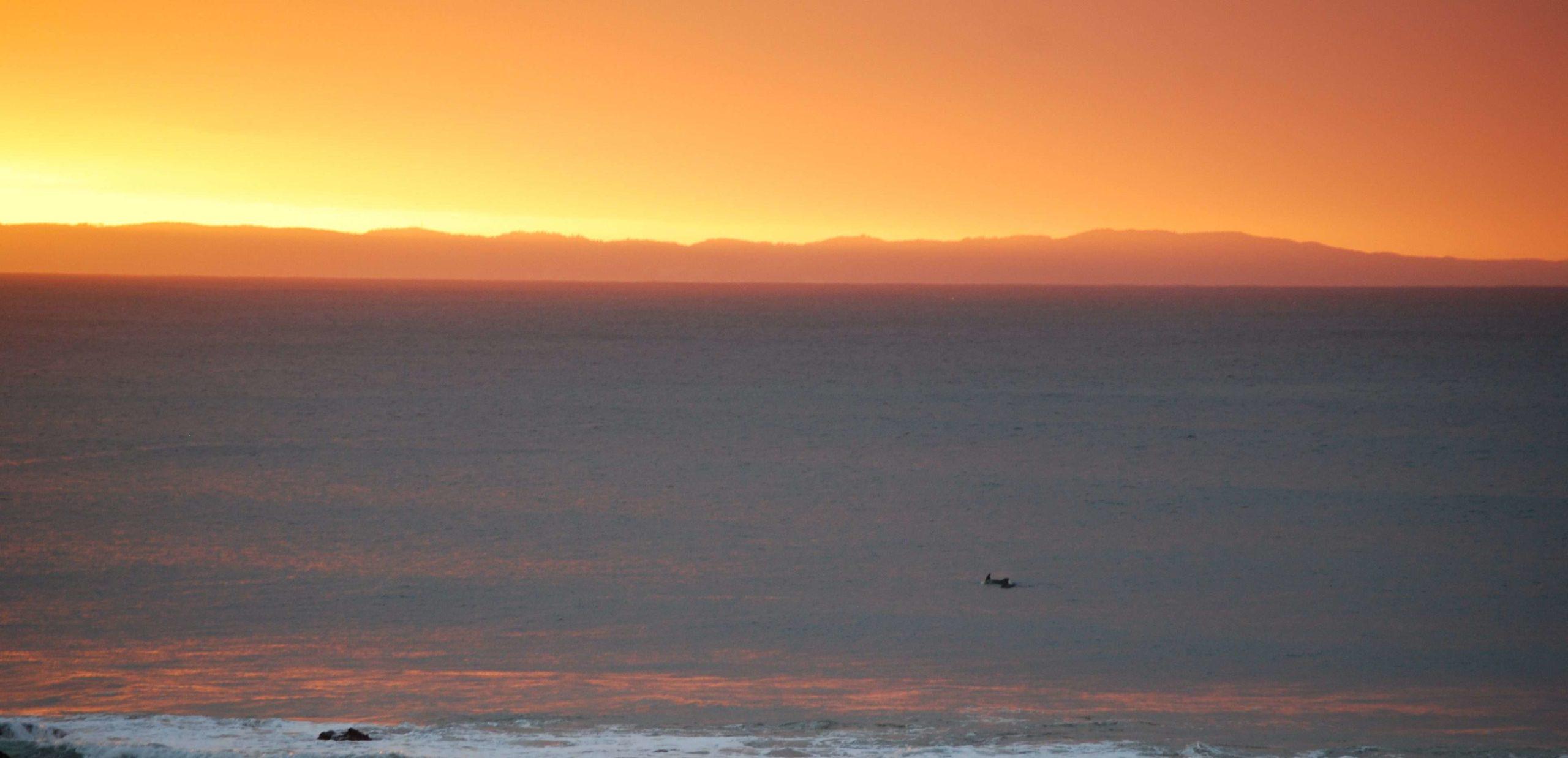 Garden Route to Jeffery's Bay, South Africa | Surf Mecca