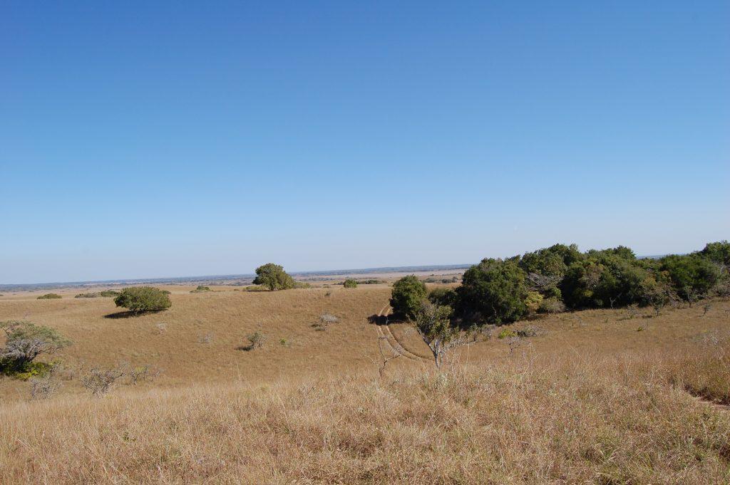 Maputo Elephant Reserve Safari Tour