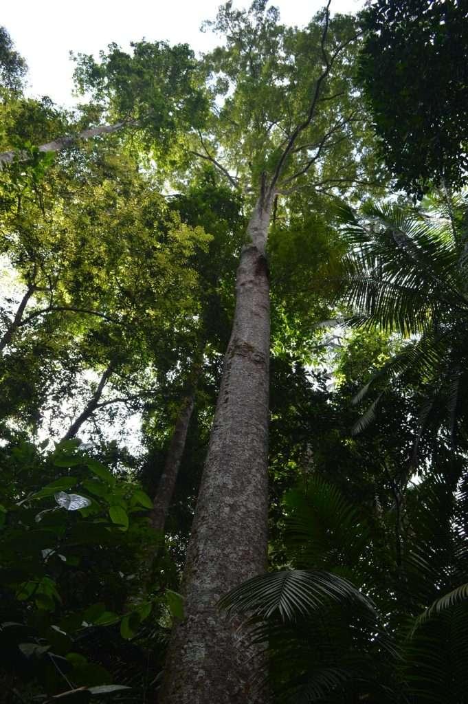 Penang Hill Unveils Fantastic Views | iGlobal